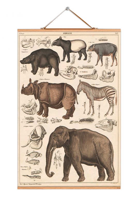 Animals Poster No 13 eicie EINZELSTÜCK | No 13 | EICIE RB57 NO13